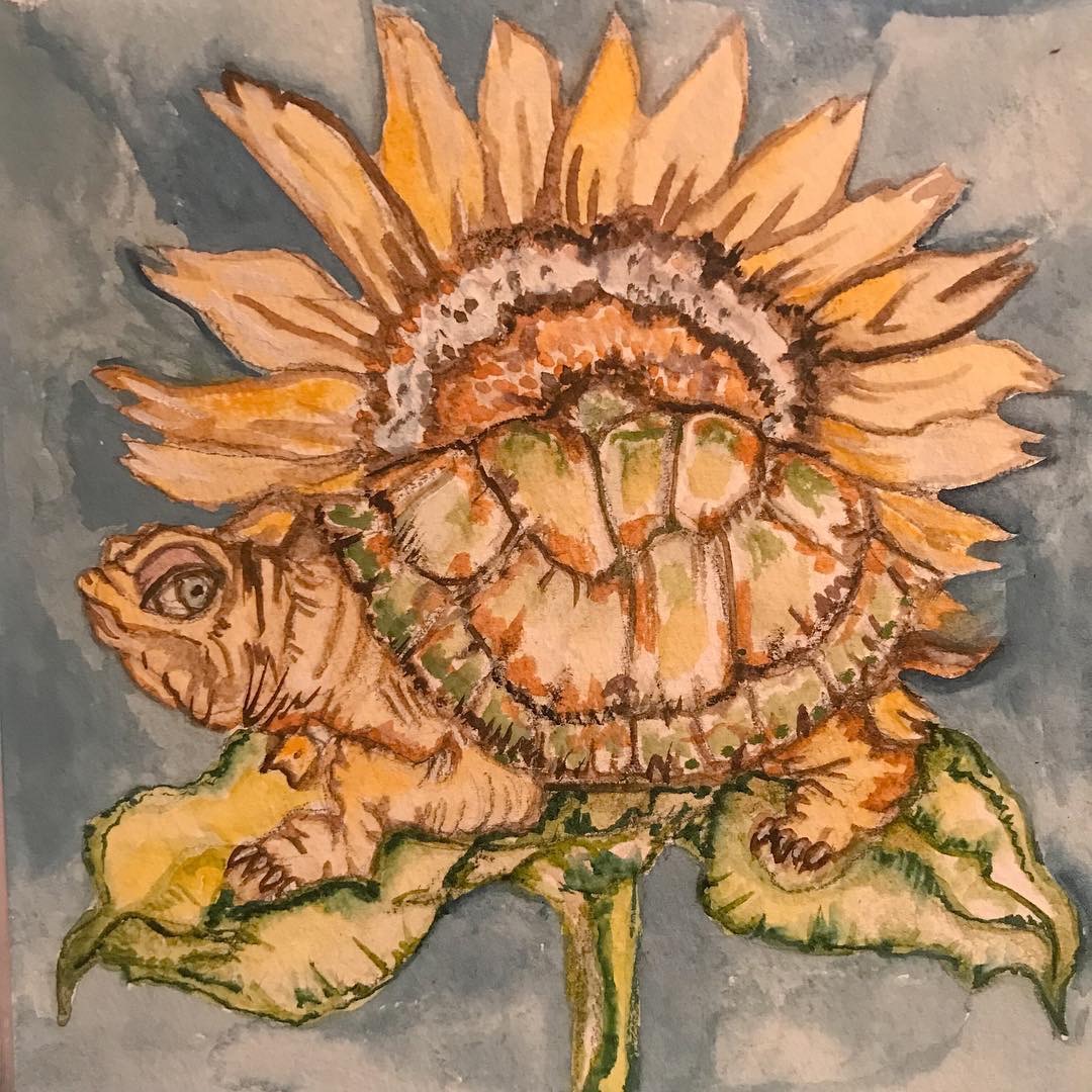 Turtle in a Sunflower – BunkoJess